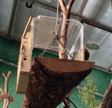 Zoo Computer Systems – Animal-Computer Interaction Group