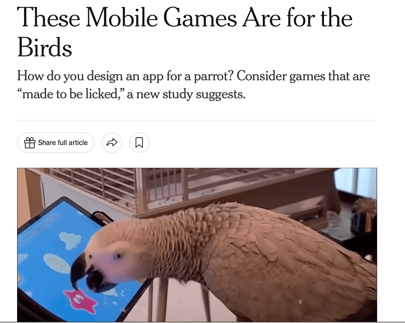 What Are We Up To? – Animal-Computer Interaction Group