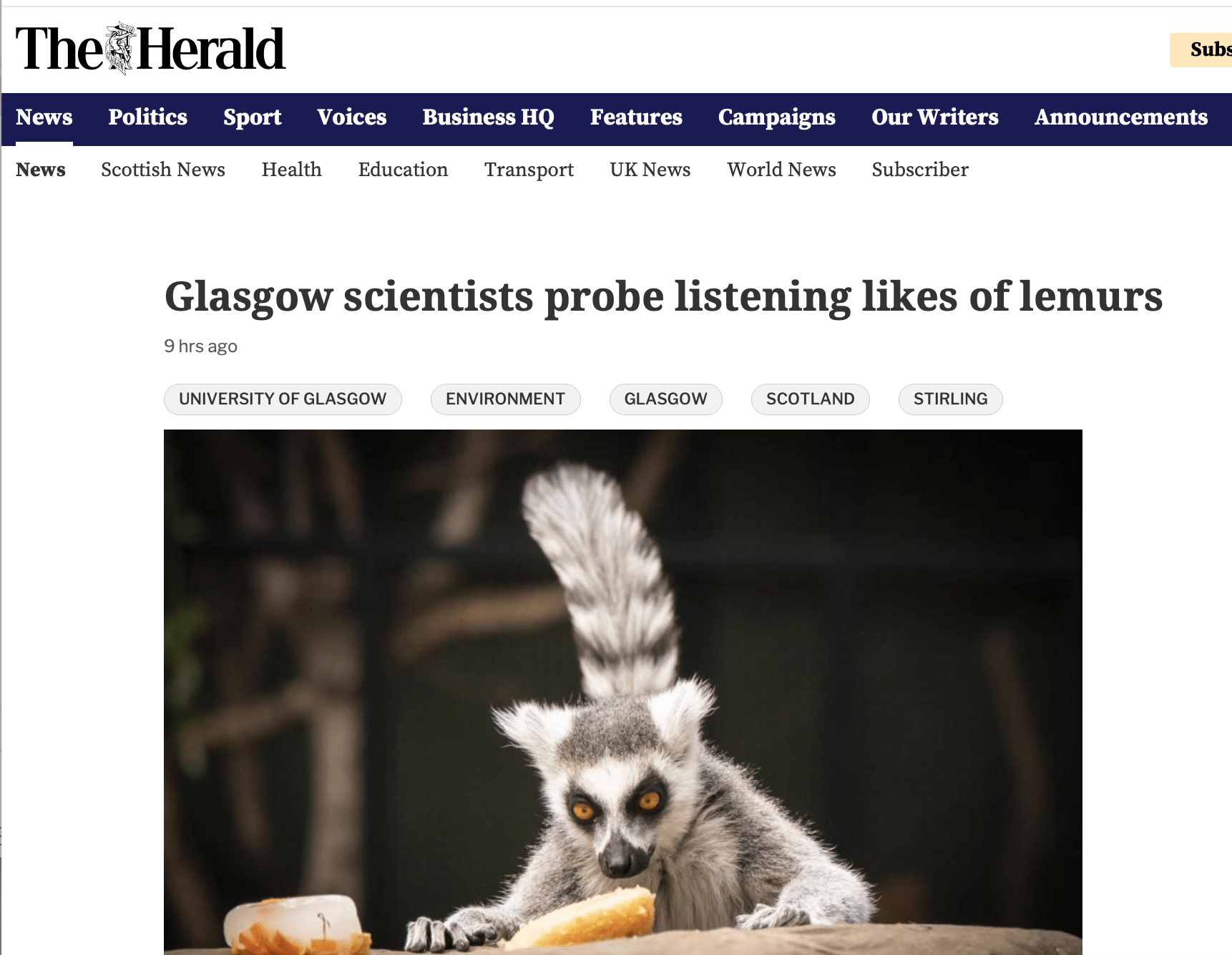 What Are We Up To? – Animal-Computer Interaction Group